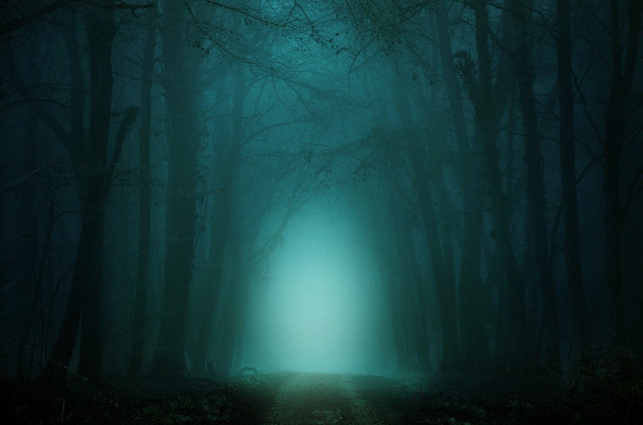 The Top 10 Horror Movies That Start With The Letter H